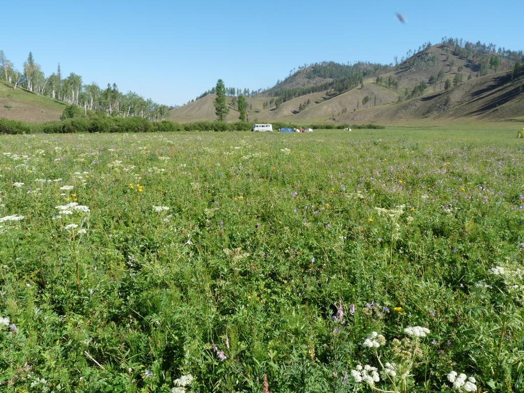 Expeditions to Mongolia – BioMongol Foundation