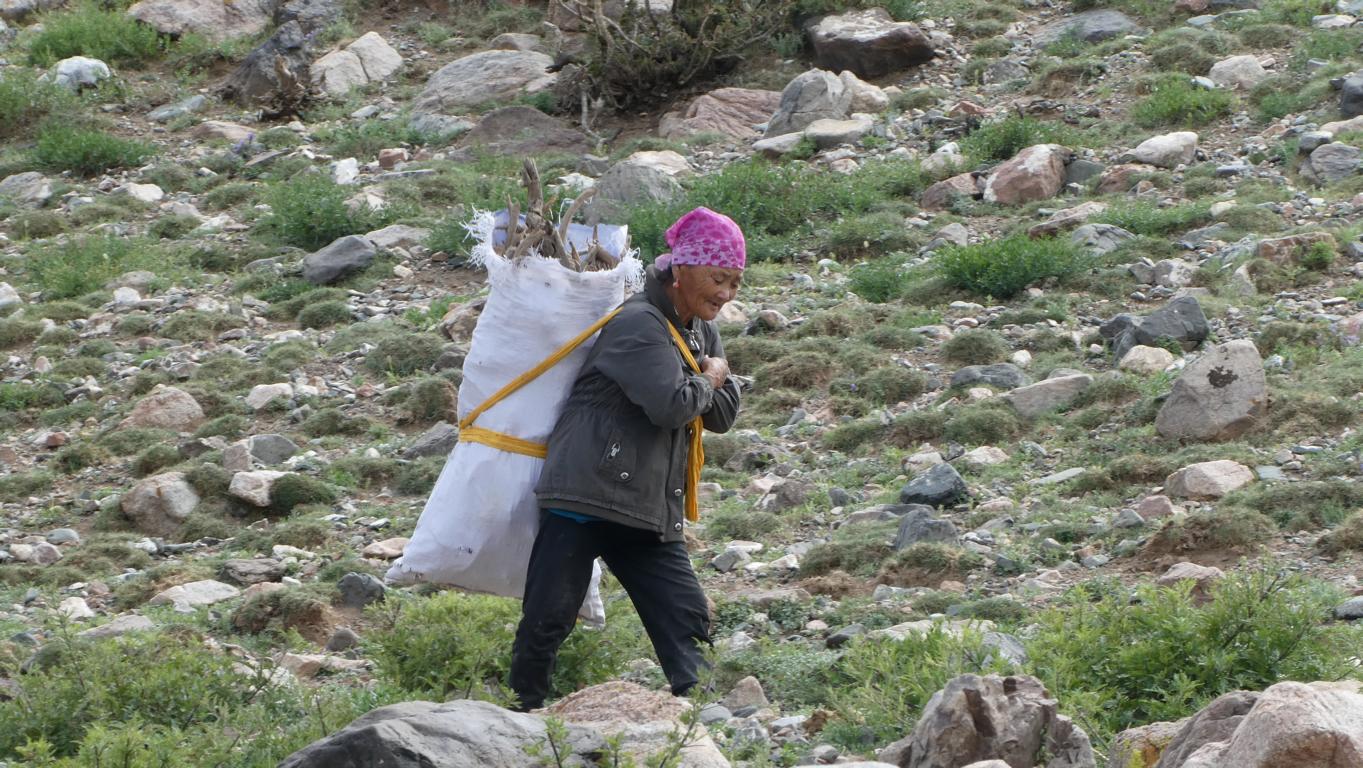 Gallery – BioMongol Foundation