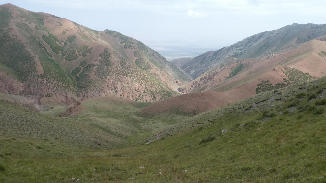 Gallery – BioMongol Foundation