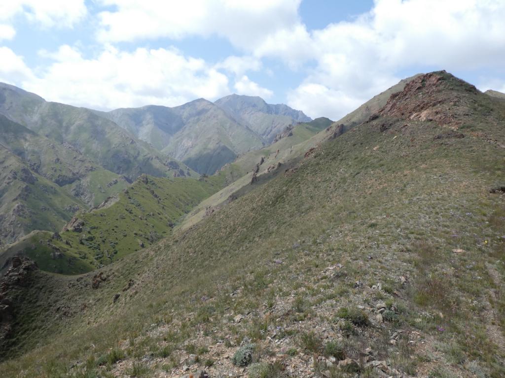 Gallery – BioMongol Foundation