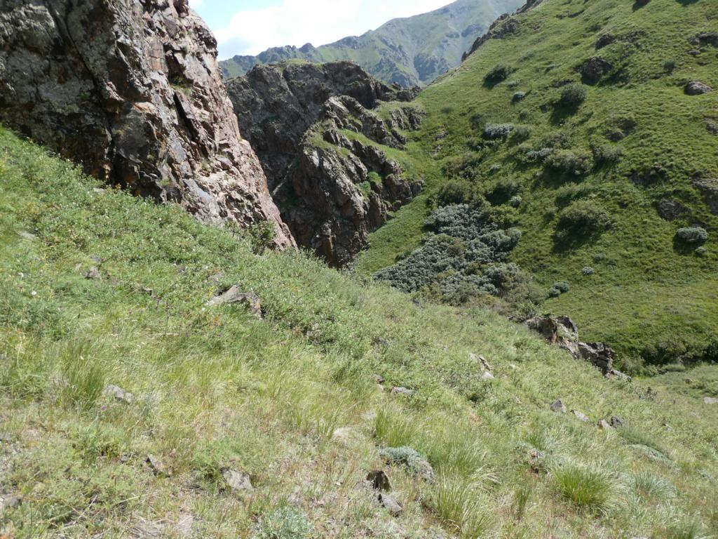 Gallery – BioMongol Foundation