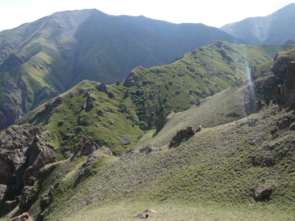 Gallery – BioMongol Foundation