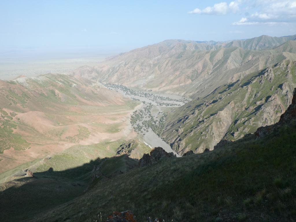 Gallery – BioMongol Foundation