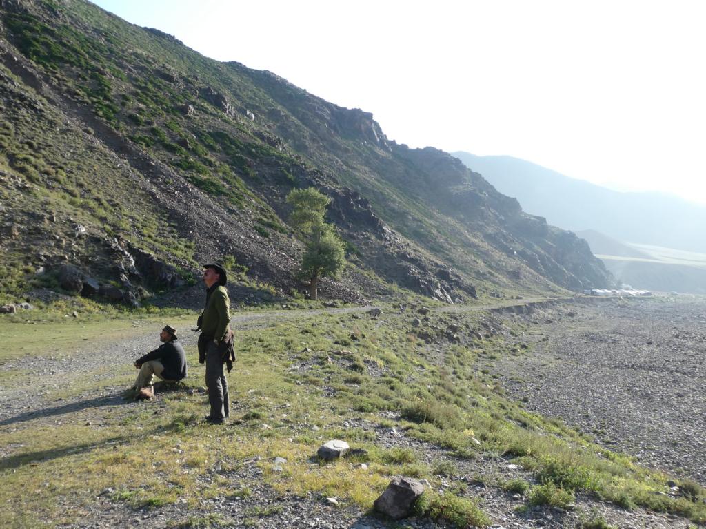 Gallery – BioMongol Foundation