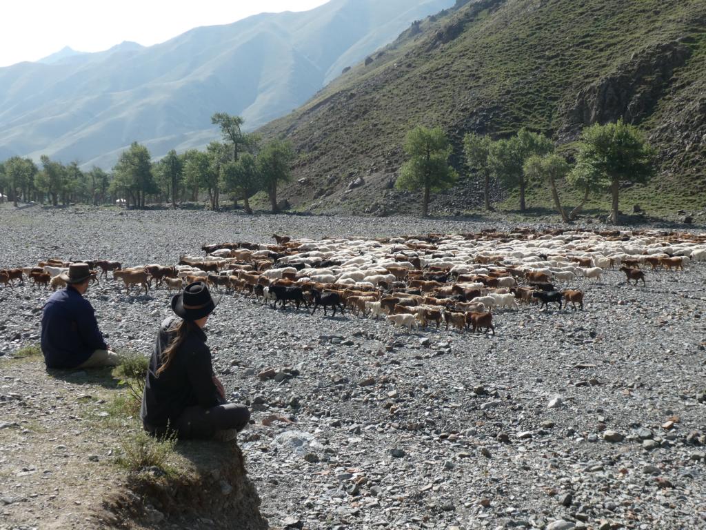 Gallery – BioMongol Foundation